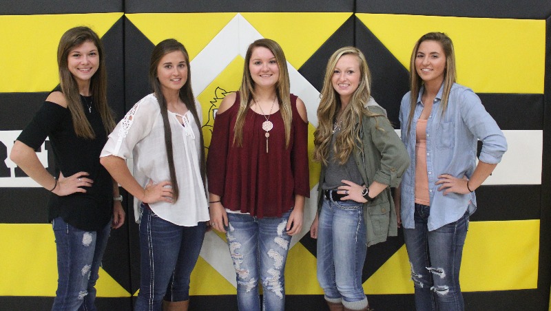 Green City R-1 Schools - All Conference and All District Softball and ...